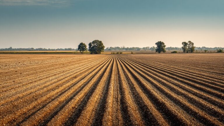 Farm Workforce Modernization Act 2025 - Proposed U.S. Law on ...